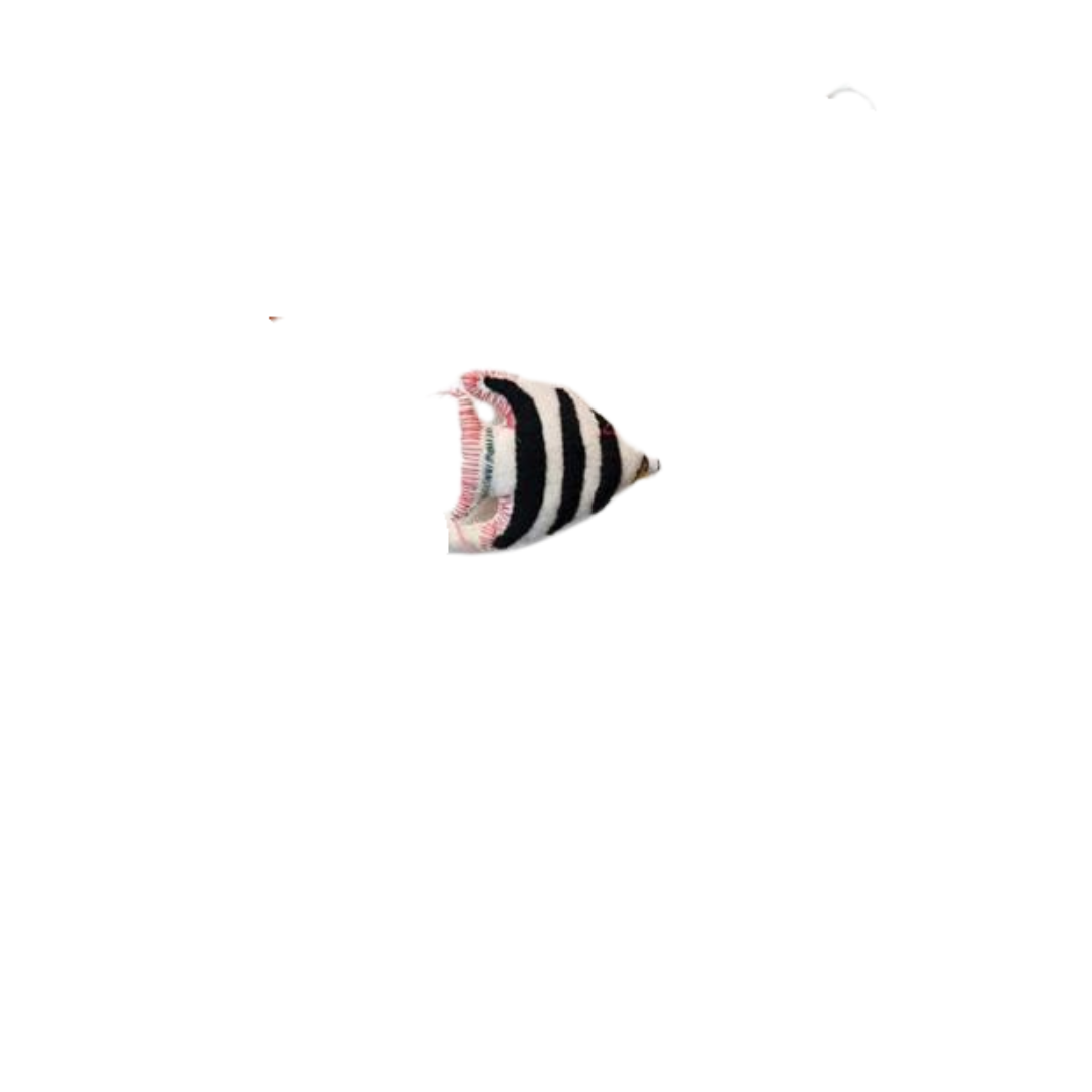 Angel Fish Ornament | Creative Co-op | The Penguin Gallery