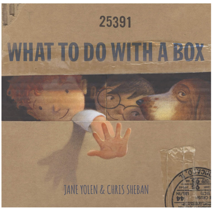 What To Do with a Box Book | Chronicle | The Penguin Gallery