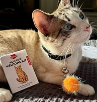 New Cat Welcome Kit | Kikkerland | The Penguin Gallery