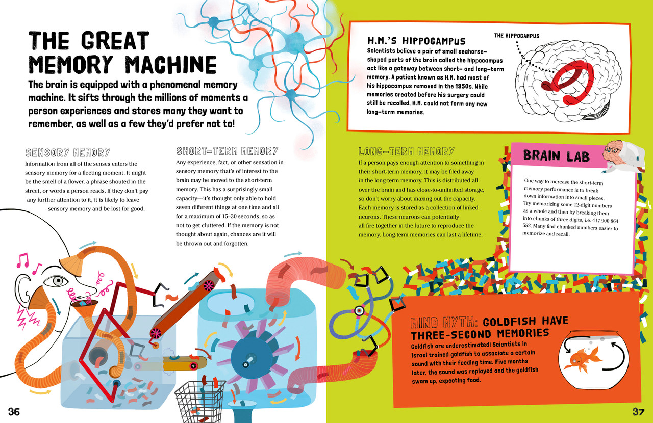 You and Your Amazing Brain Book | Quarto | The Penguin Gallery