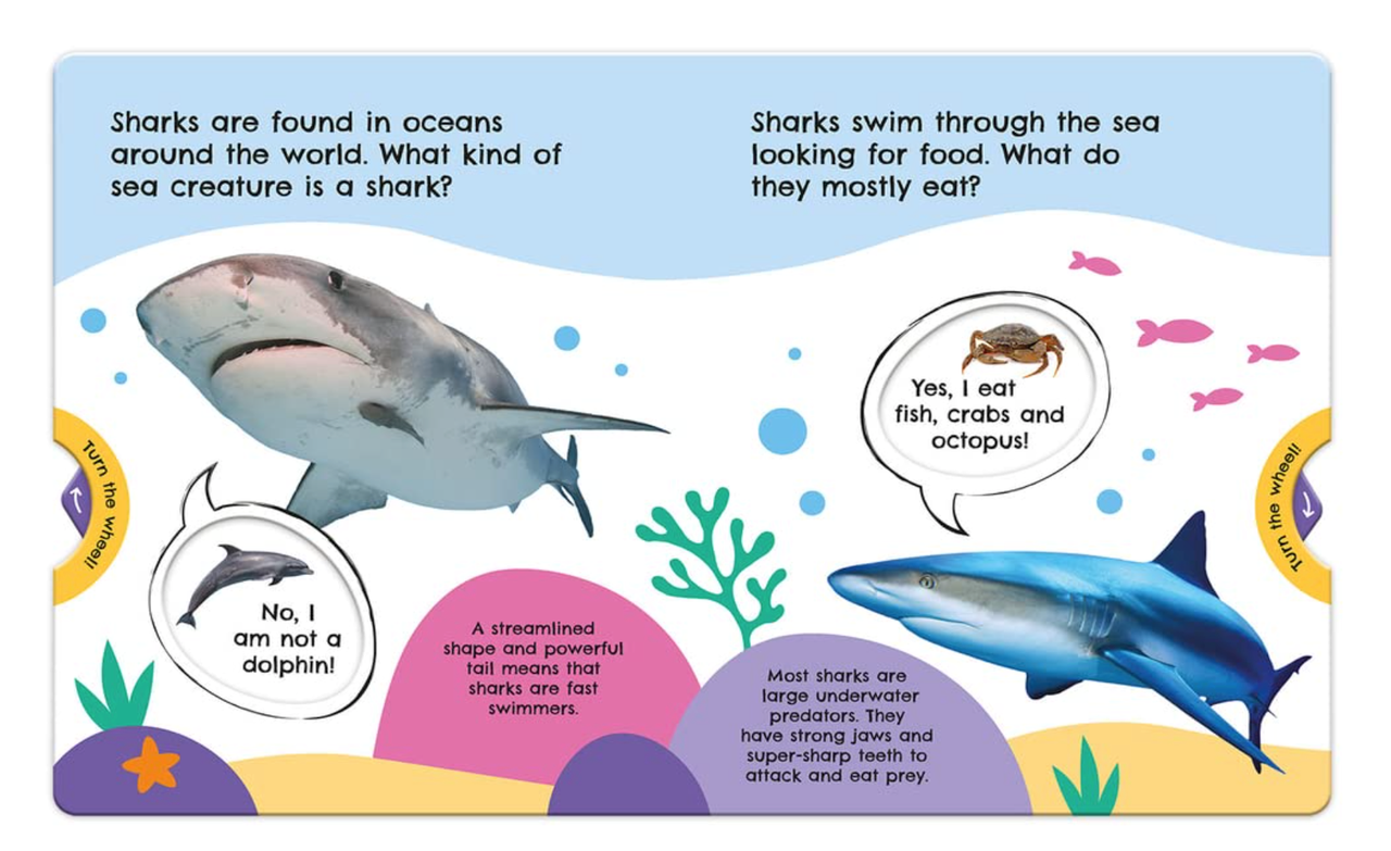 First Facts Sharks (Move Turn Learn Board Book)