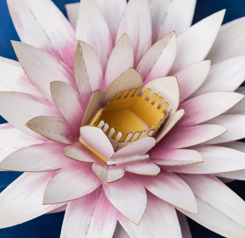 Pop-Up Card Water Lily - Penguin Gallery
