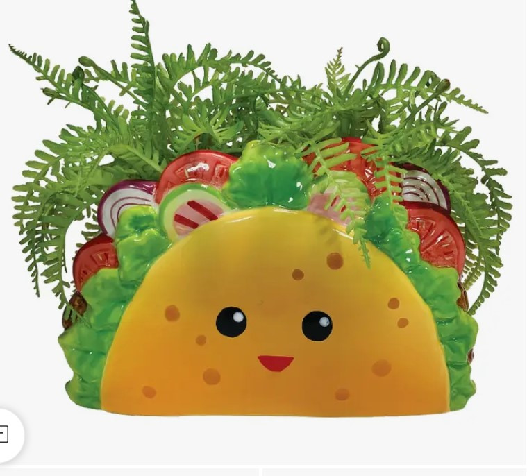 Taco Planter - Penguin Gallery