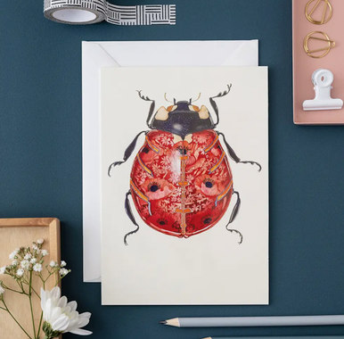 Ladybird Blank Card | DM Collection | The Penguin Gallery