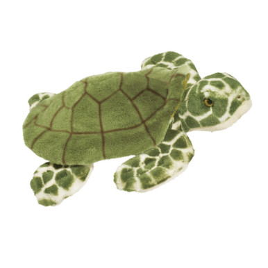 Toti Green Sea Turtle | Douglas | The Penguin Gallery
