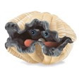 Giant Clam Hand Puppet | Folkmanis® | The Penguin Gallery