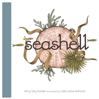 Seashell | Chronicle Books | The Penguin Gallery