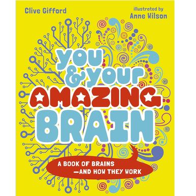 You and Your Amazing Brain Book | Quarto | The Penguin Gallery