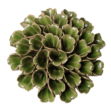 Large Green Coral Flower Sea Polyp | Chive | The Penguin Gallery