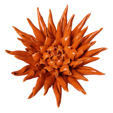 Large Orange Coral Flower | Chive | The Penguin Gallery