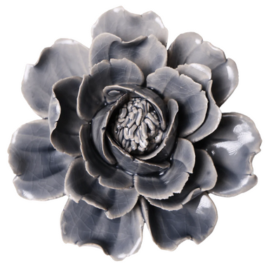 Grey Coral Flower Rose | Chive | The Penguin Gallery