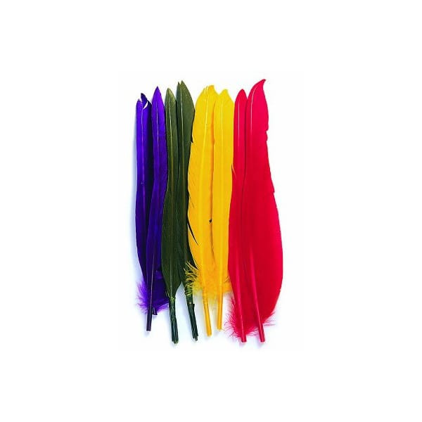 Duck Wing Quills - Mid Antrim Angling Centre