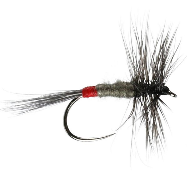 Iron Blue Dun - Mid Antrim Angling Centre