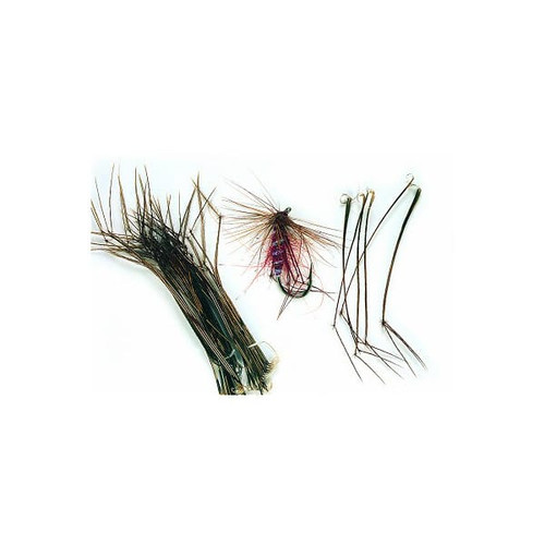 Pheasant Tail - Hopper Legs - Mid Antrim Angling Centre