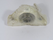 RBL SUCP206-20 Bearing Housing Assembly ! NWB ! - Industrial Automation ...