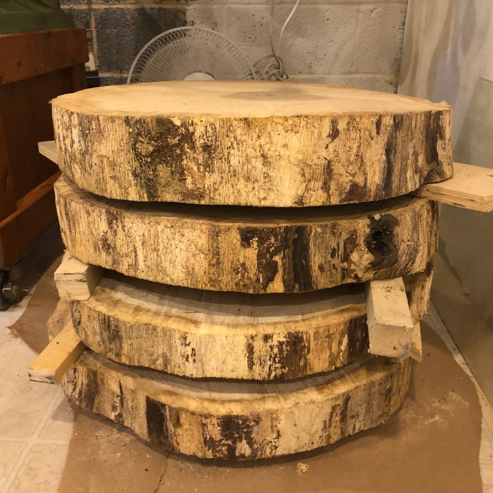 Make a Round Table From a Tree in Ten Steps - Treeboard