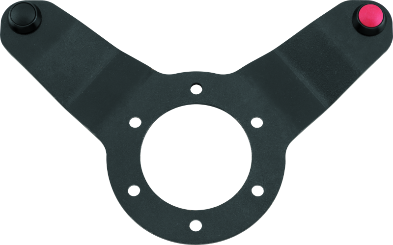 DragonFire Racing Steering Wheel Plate