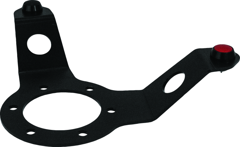 DragonFire Racing Steering Wheel Plate