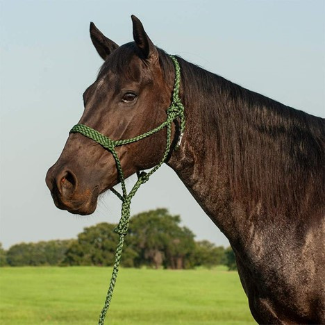 HTR-BMTH-GR Cashel Green Flat Braid Halter and Lead Rope