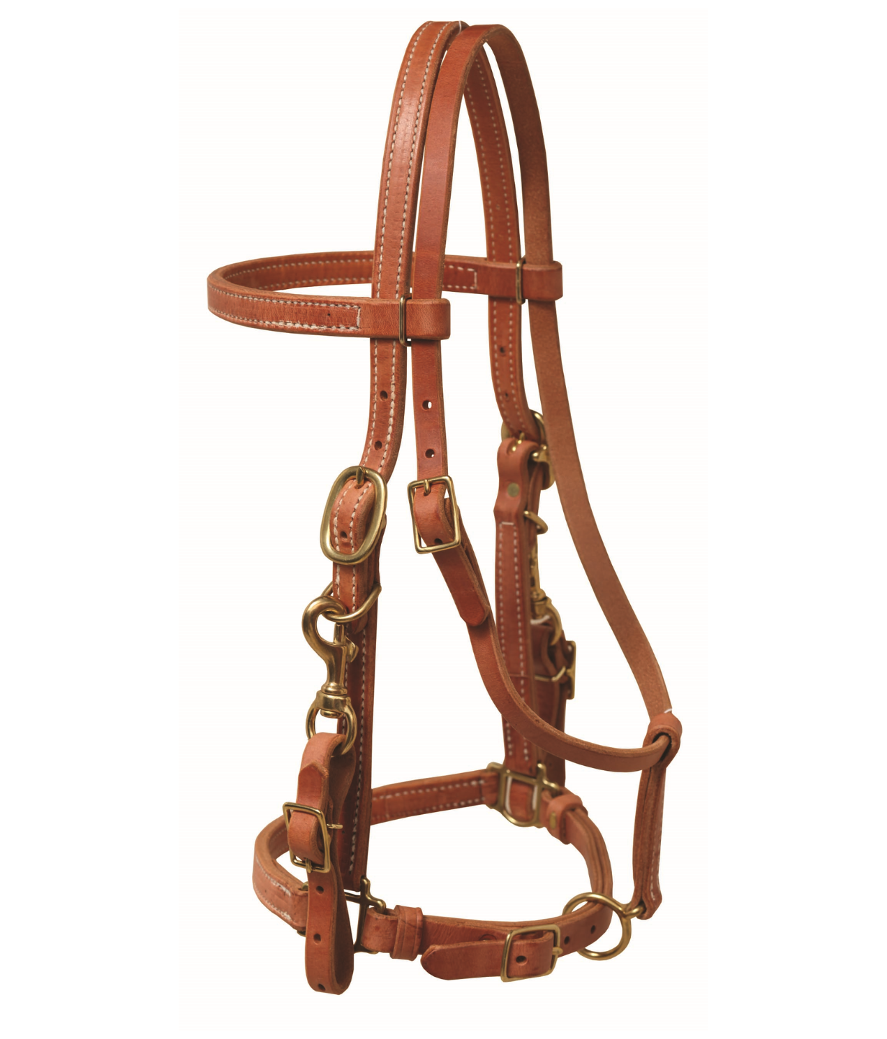 Harness Leather Halter/Bridle Combo