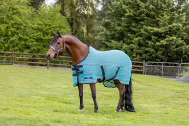 Kensington Atlantis UV Horse Protective Fly Sheet SureFit®
