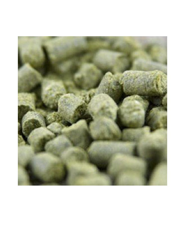 Pellet Hops - Lemondrop - 1 Lb - Home Brew Ohio