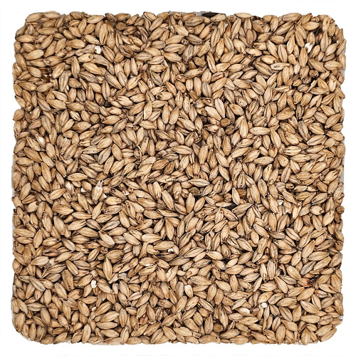 Organic 2-Row Grain 50lb - Home Brew Ohio