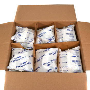 PacTemp 16oz Reuseable Cold Pack Gel Ice (Case of 36)
