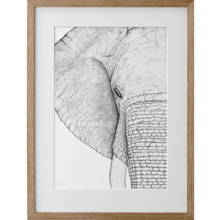 Ethan the Elephant - Left - Bograd Kids