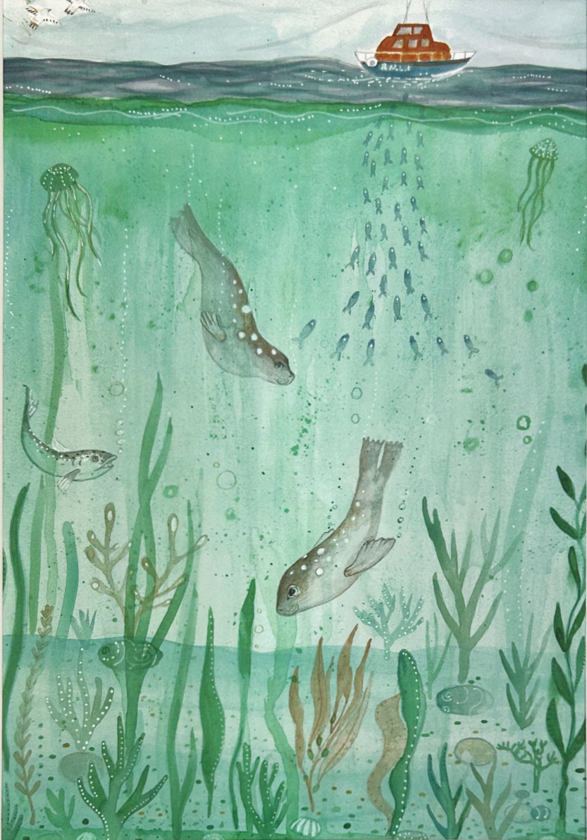 Coastal Inspired A4 prints - Unmounted