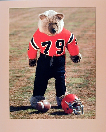 Teddy Bear Football Player Ron Kimball Art Print Poster 16x20 - Impact ...