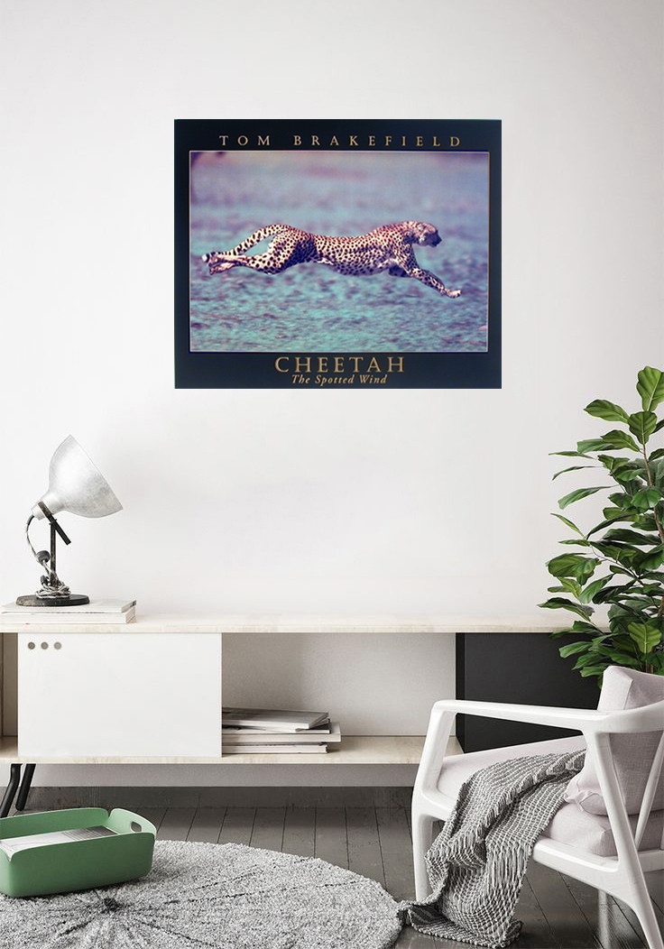 Cheetah Poster - The Spotted Wind | Animal Posters | Cheetah Posters