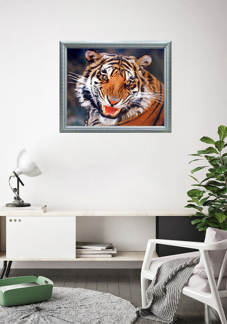 Impact Posters Gallery Tiger Angry Face Nature Wildlife Animal Silver ...