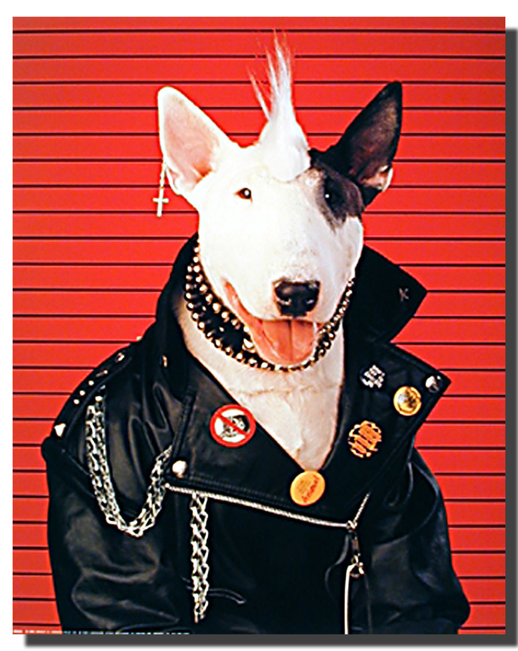 Dog Poster- Punk | Animal Posters | Dog Posters