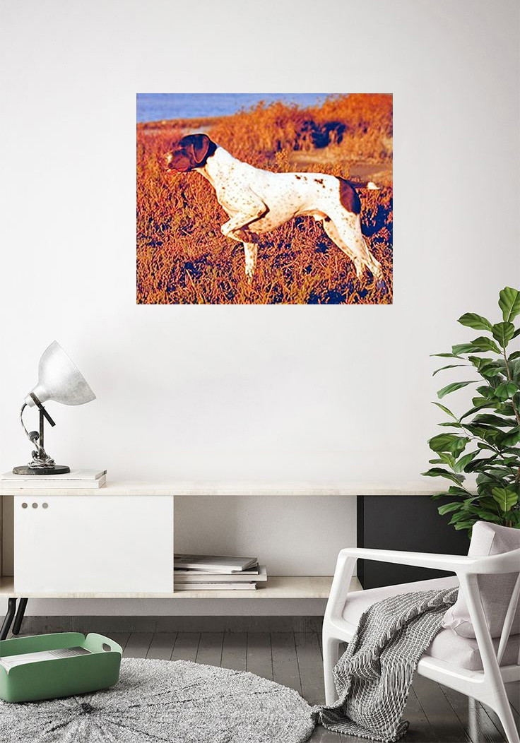 Pointer Dog Poster | Animal Posters | Dog Posters