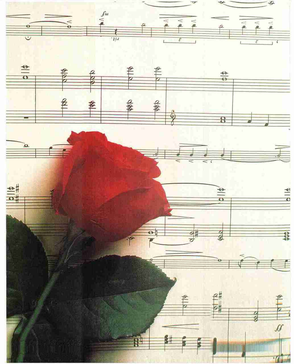 Red Rose Flower Musical Note Sheet | Floral Posters