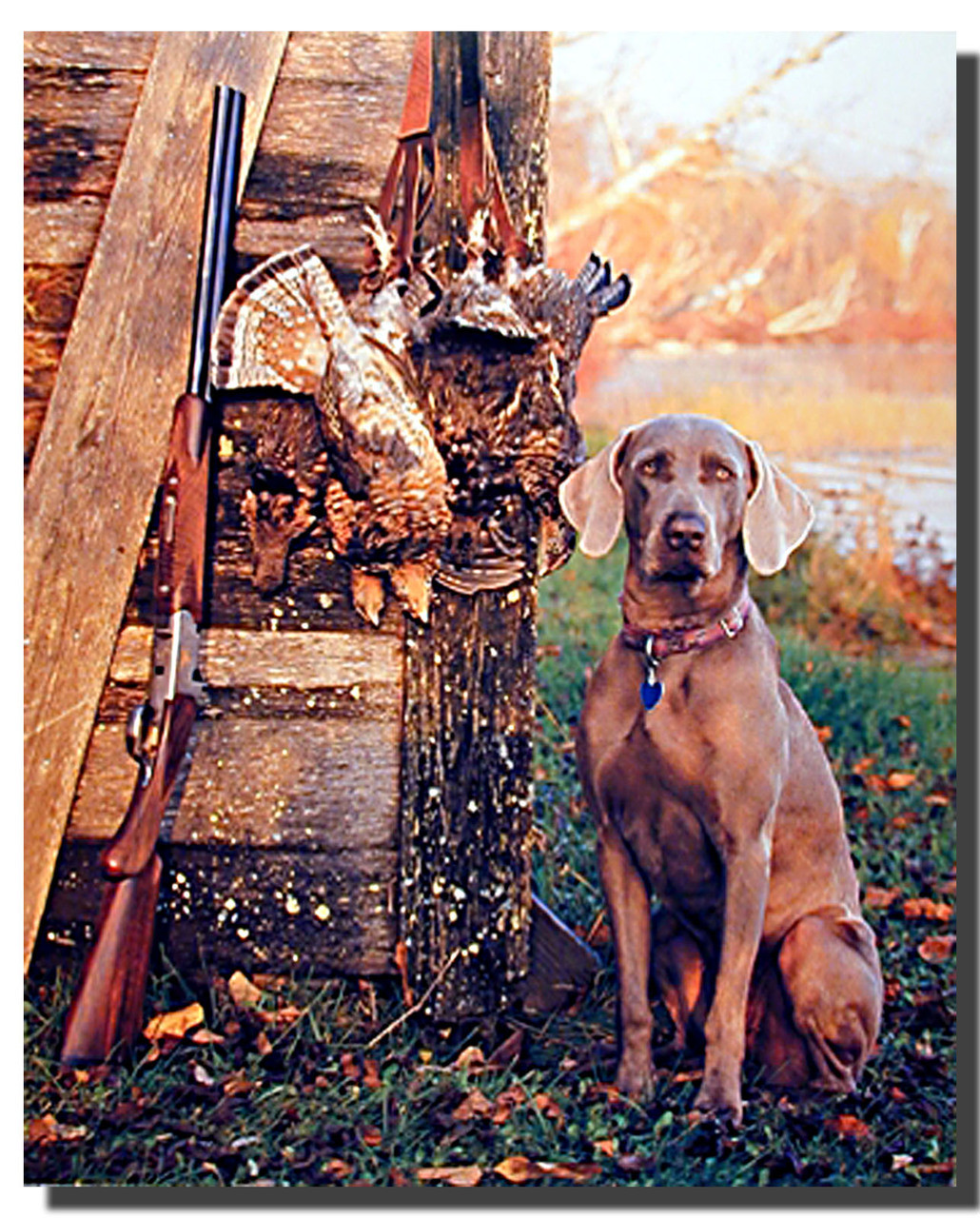 Weimaraner Hunting Poster | Animal Posters