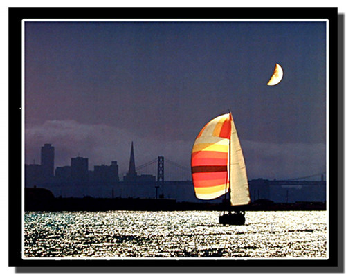 Night Sailing in San Francisco Poster | Boat Posters | Yacht Posters