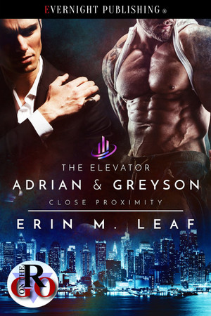 The Elevator by Erin M. Leaf - Evernight Publishing