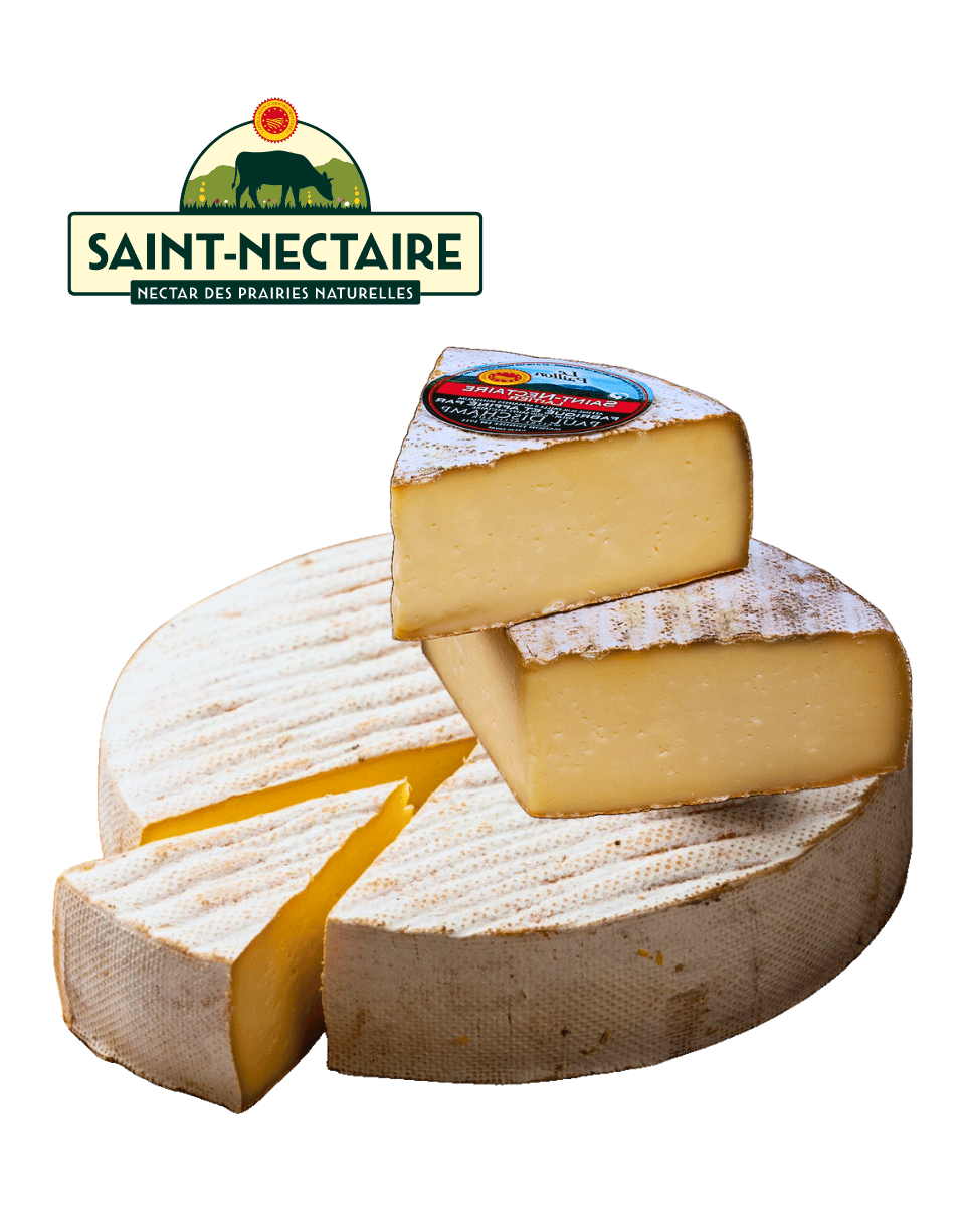 Saint Nectaire Cheese | French Delicacy"