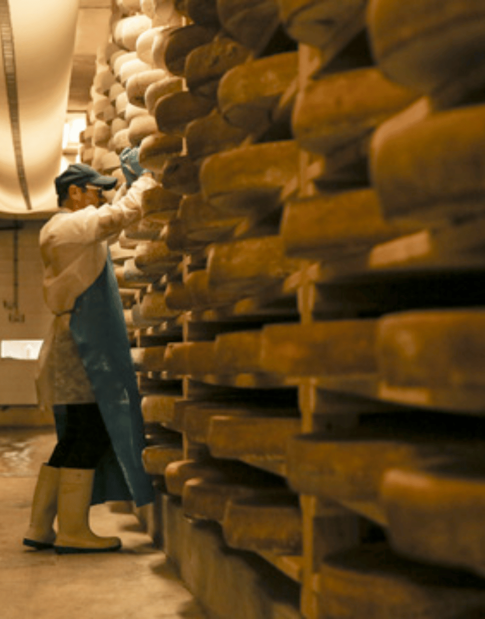 Comte 36 Months Cheese - Aged Delicacy