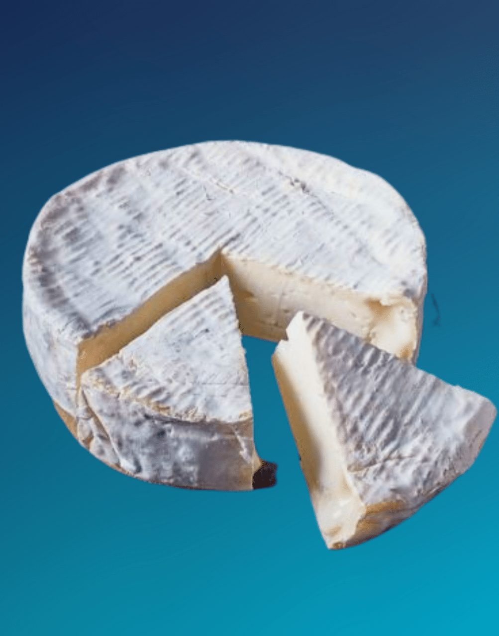 Le Jouvenceau (Goat Camembert) 200g
