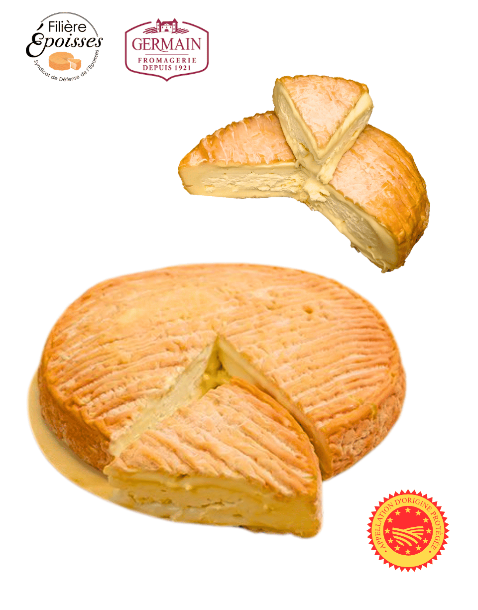 Swiss Cheese | Le Fromage Yard