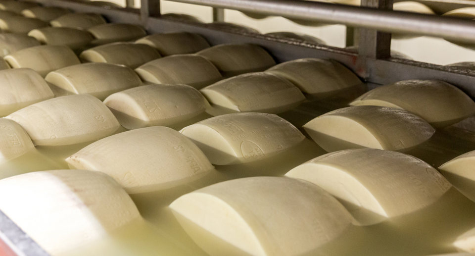 Why Salt in Cheese Matters - Le Fromage Yard
