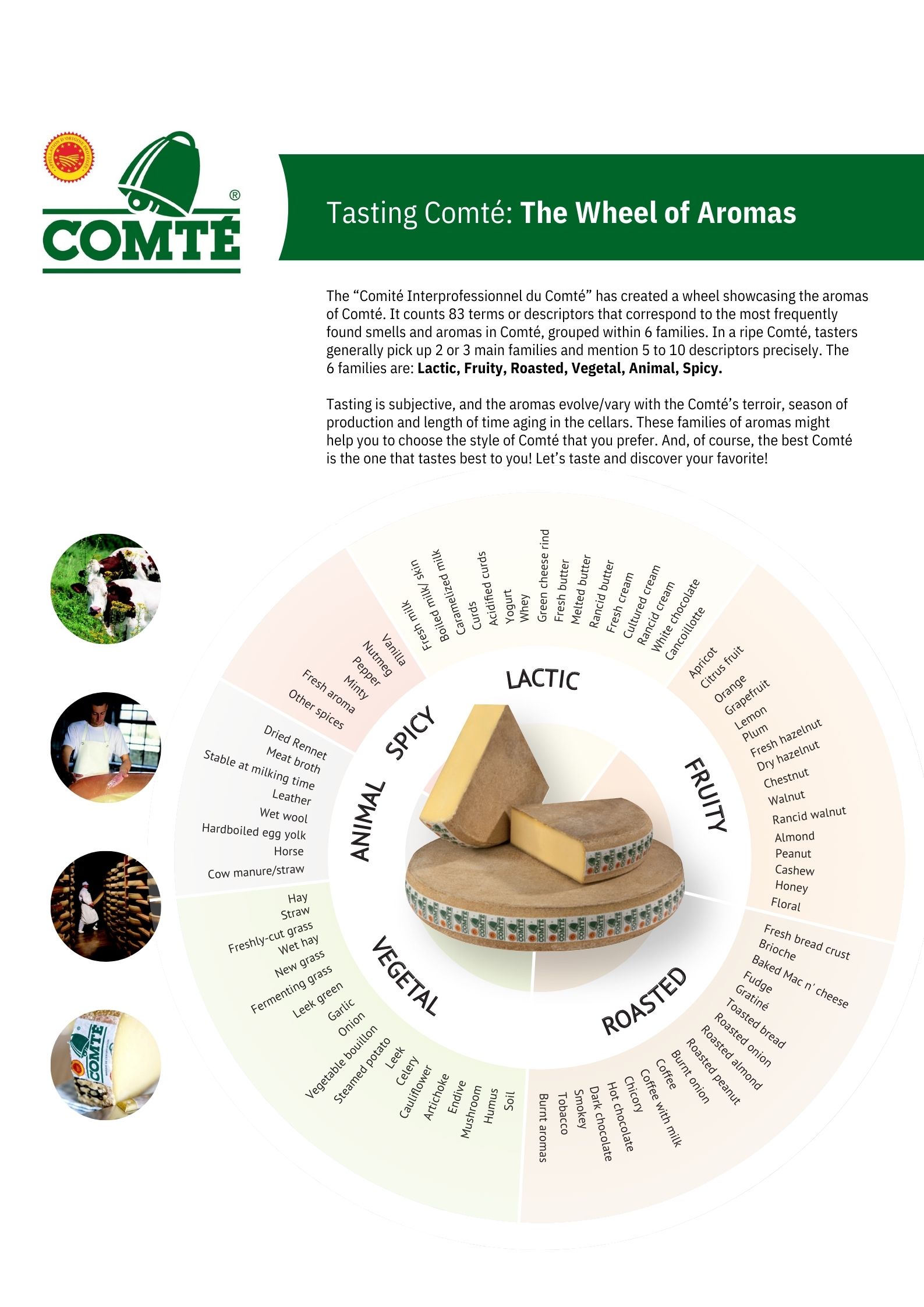 Comte Flavour Wheel - Le Fromage Yard