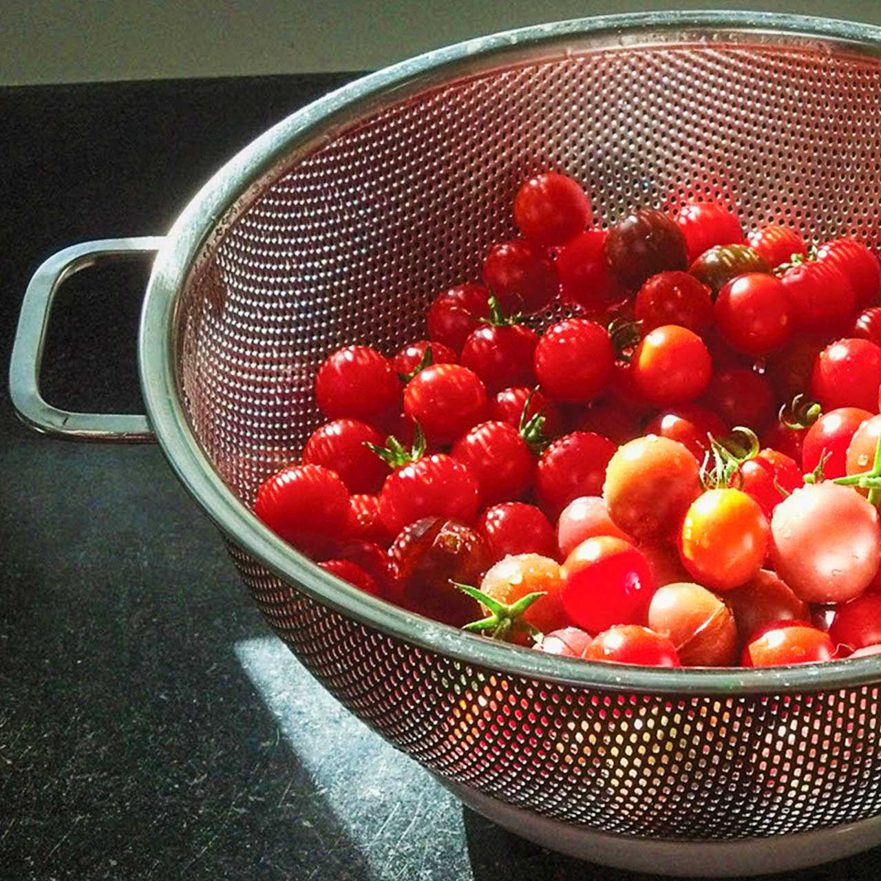 RSVP International Precision Pierced 5 Qt Colander | BYC