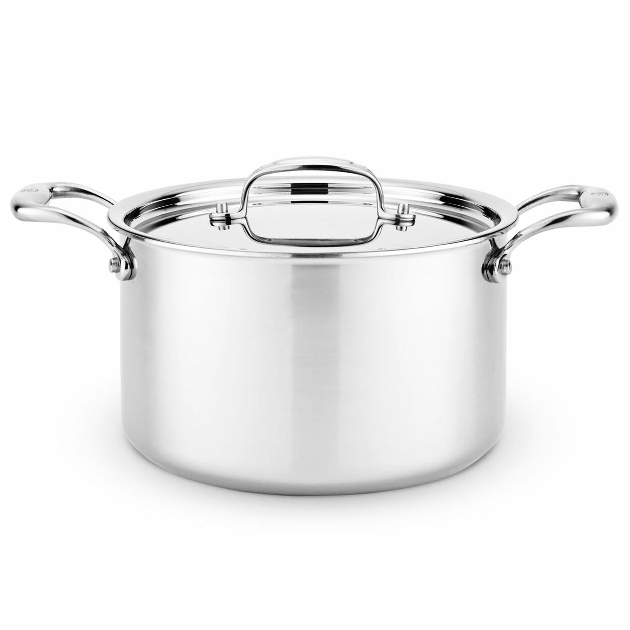 Heritage Steel 8 Quart Stock Pot with Lid | Because You Cook