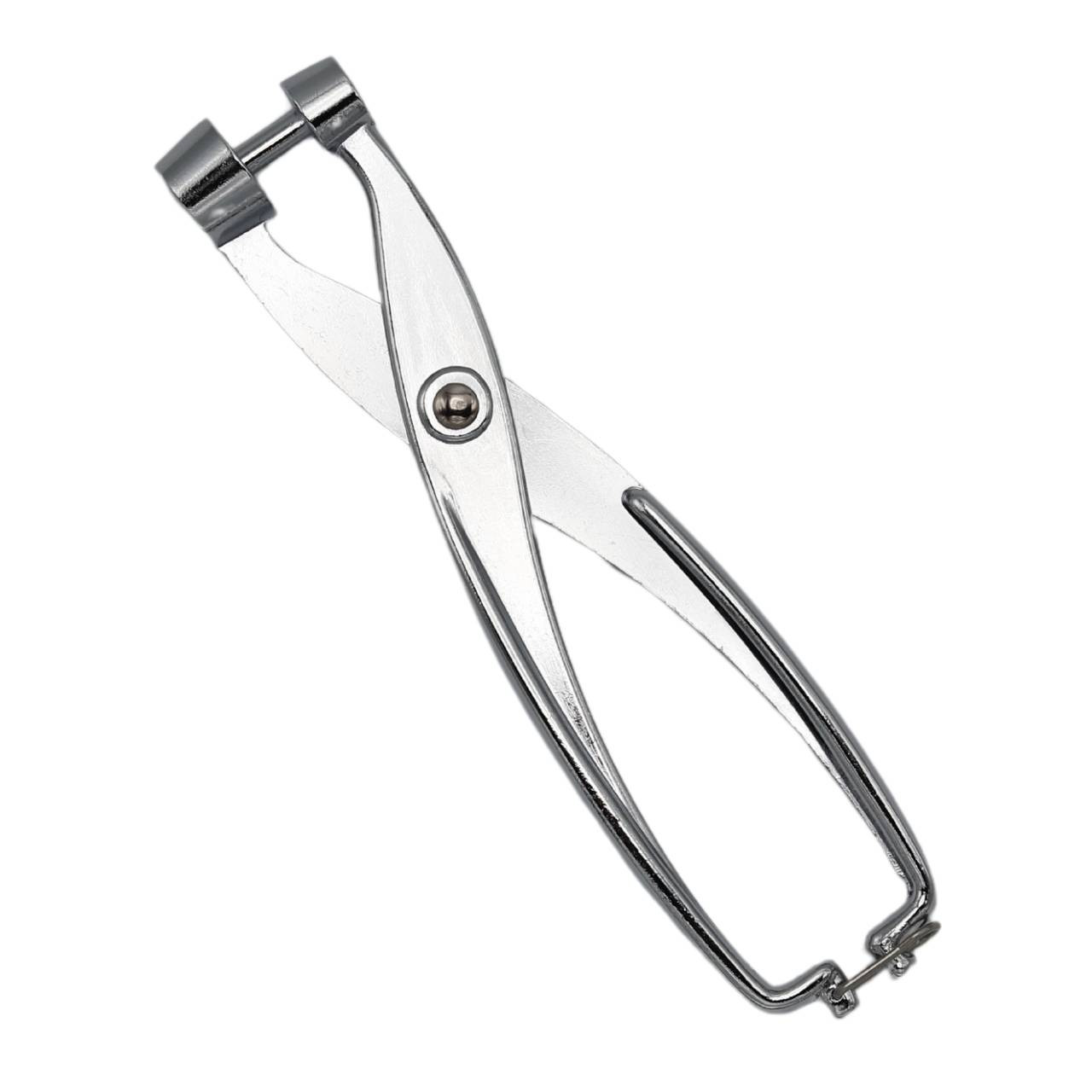 Mrs. Anderson's Baking Olive and Cherry Pitter | BYC