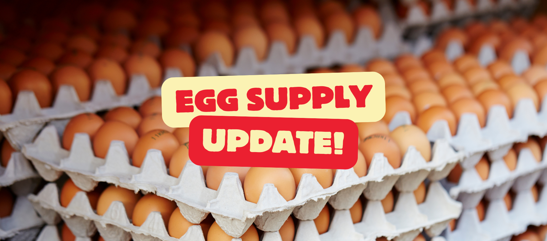Cracking the Mystery: Why Sydney is Facing an Egg Shortage - Padstow ...