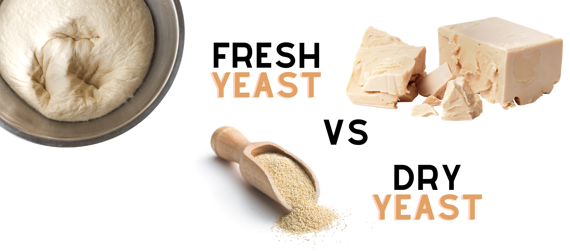 Fresh Yeast Vs Dry Yeast Which Is Best Padstow Food Service